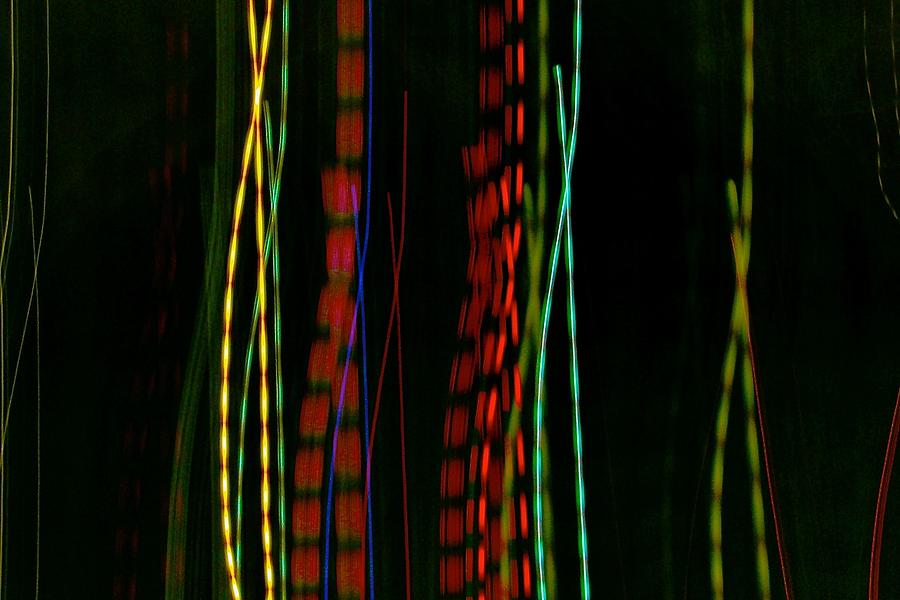 Threads of Light II Photograph by Michele Stoehr - Fine Art America