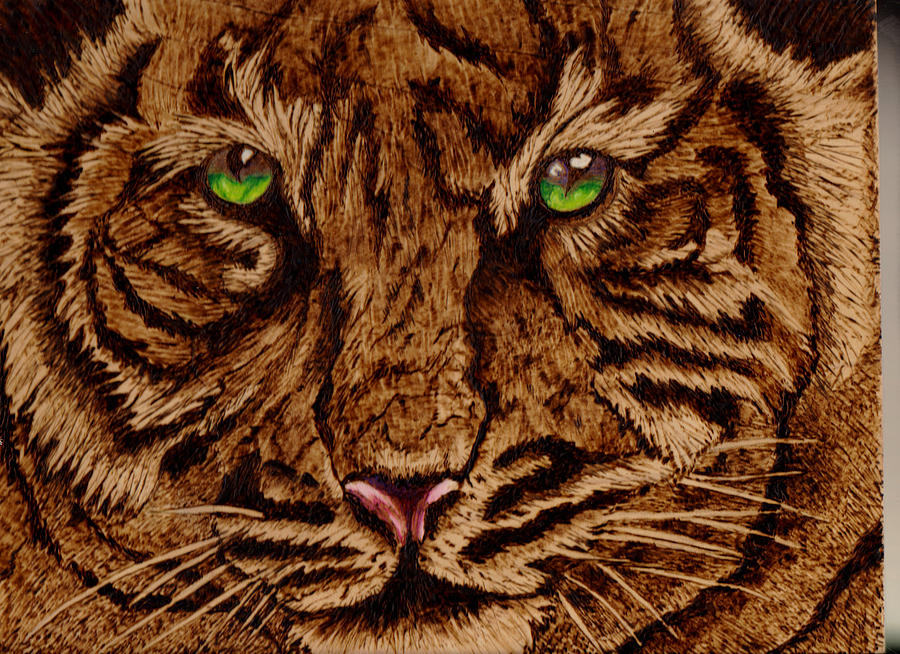 Tiger Stare Pyrography by Jay Johnston | Fine Art America