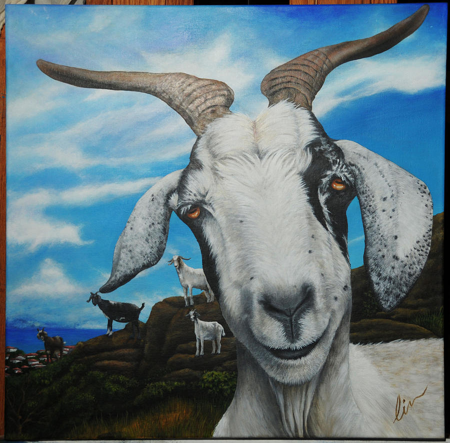 WIP- Goats of St. Martin Painting by Cindy D Chinn - Fine Art America