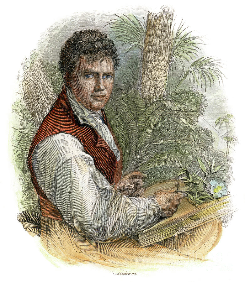 Alexander Von Humboldt Alexander Von Humboldt