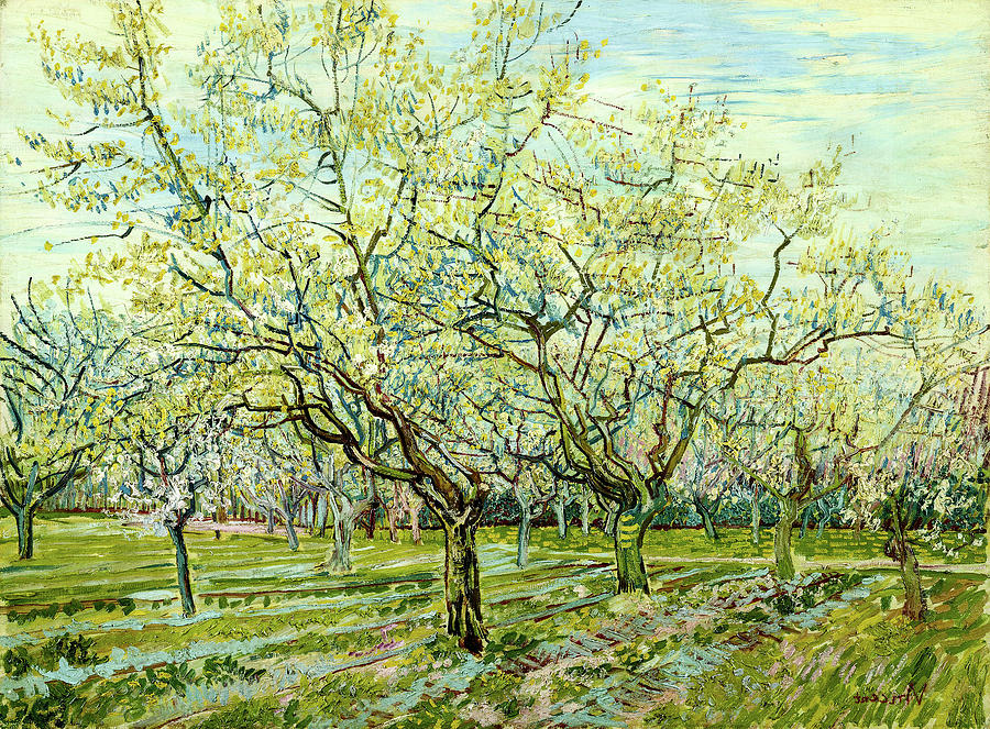 The White Orchard #10 by Vincent Van Gogh