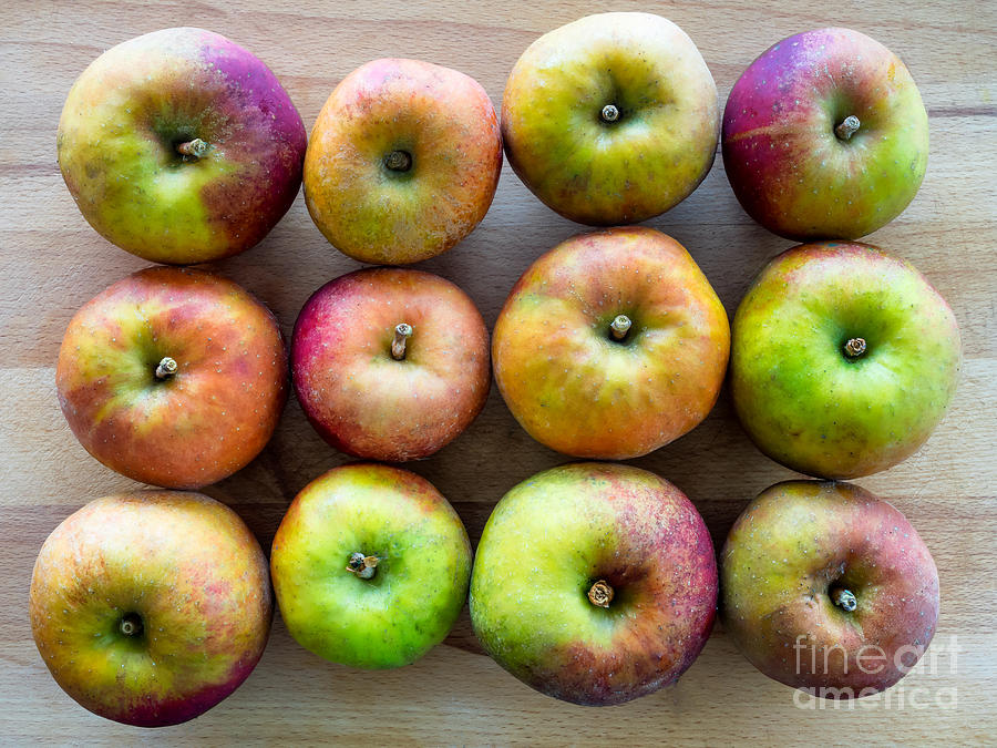 12 Apples In 3 Rows Photograph by Frank Bach - Pixels
