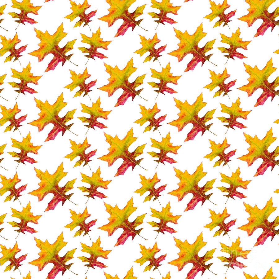 A tiled pattern that repeats seamlessly and features a Pin Oak leaf in ...