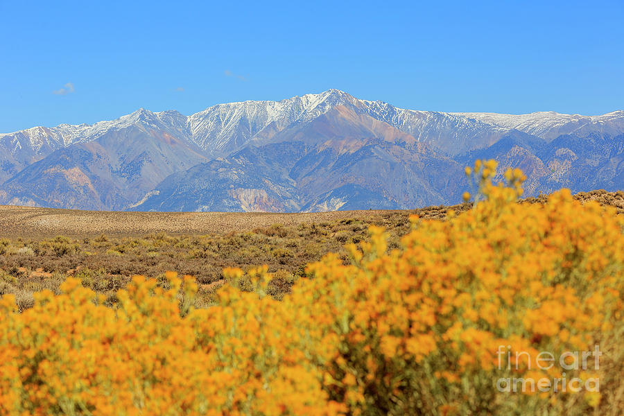 Beautiful fall color in California Photograph by Chon Kit Leong - Fine ...