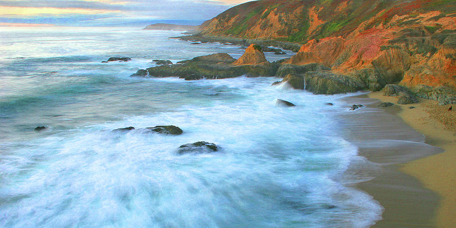 Bodega Head Photograph by Thomas M Miller - Fine Art America