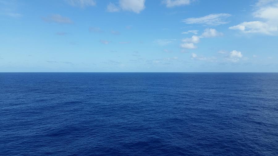 Coral Sea - Royal Blue Sea Photograph by Jeffrey Shaw - Pixels