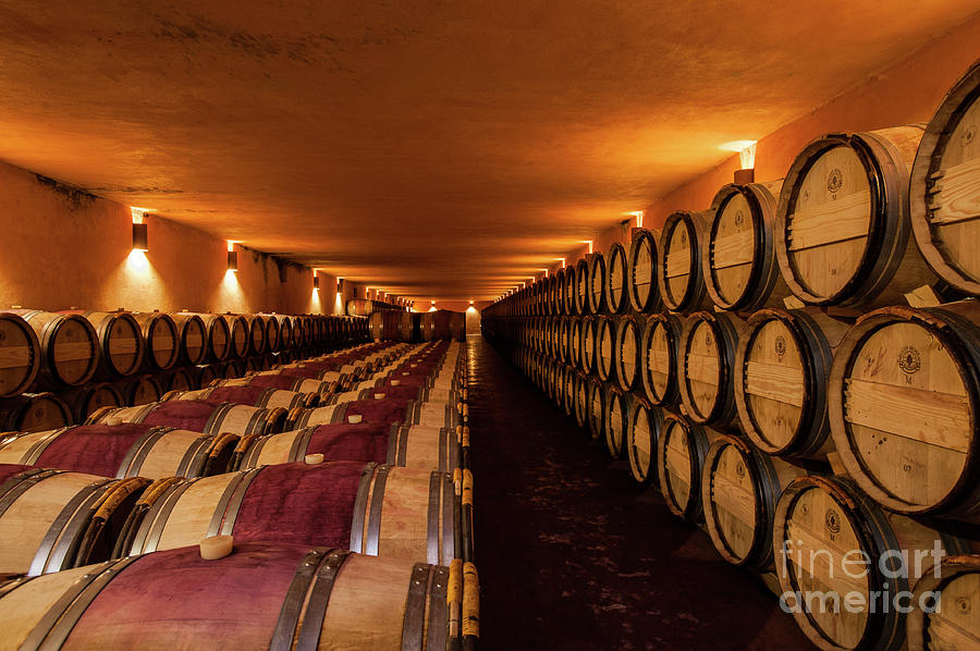 Oak wood aging barrels Photograph by Ilan Amihai - Fine Art America