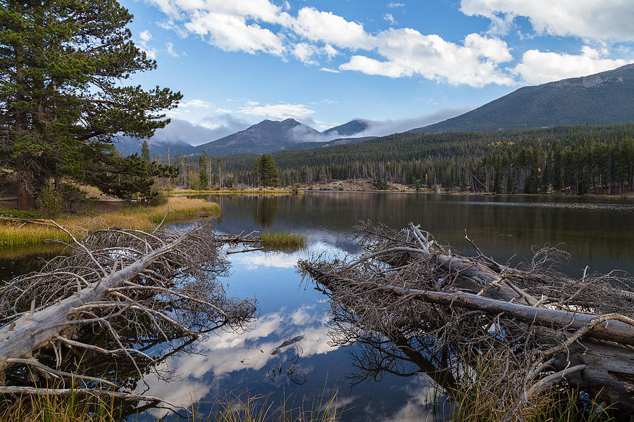 Sprague Lake Photograph by Greg McGill - Fine Art America