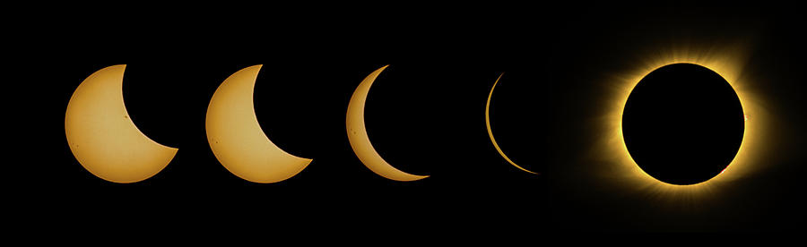 2017 Eclipse Composite Photograph by Emil Davidzuk - Fine Art America