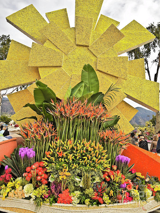 Rose Parade 2017RP032 Photograph by Howard Stapleton - Fine Art America