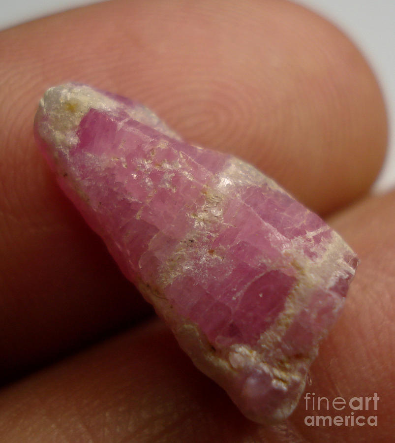 Ruby Crystal Photograph by Neon Flash - Fine Art America