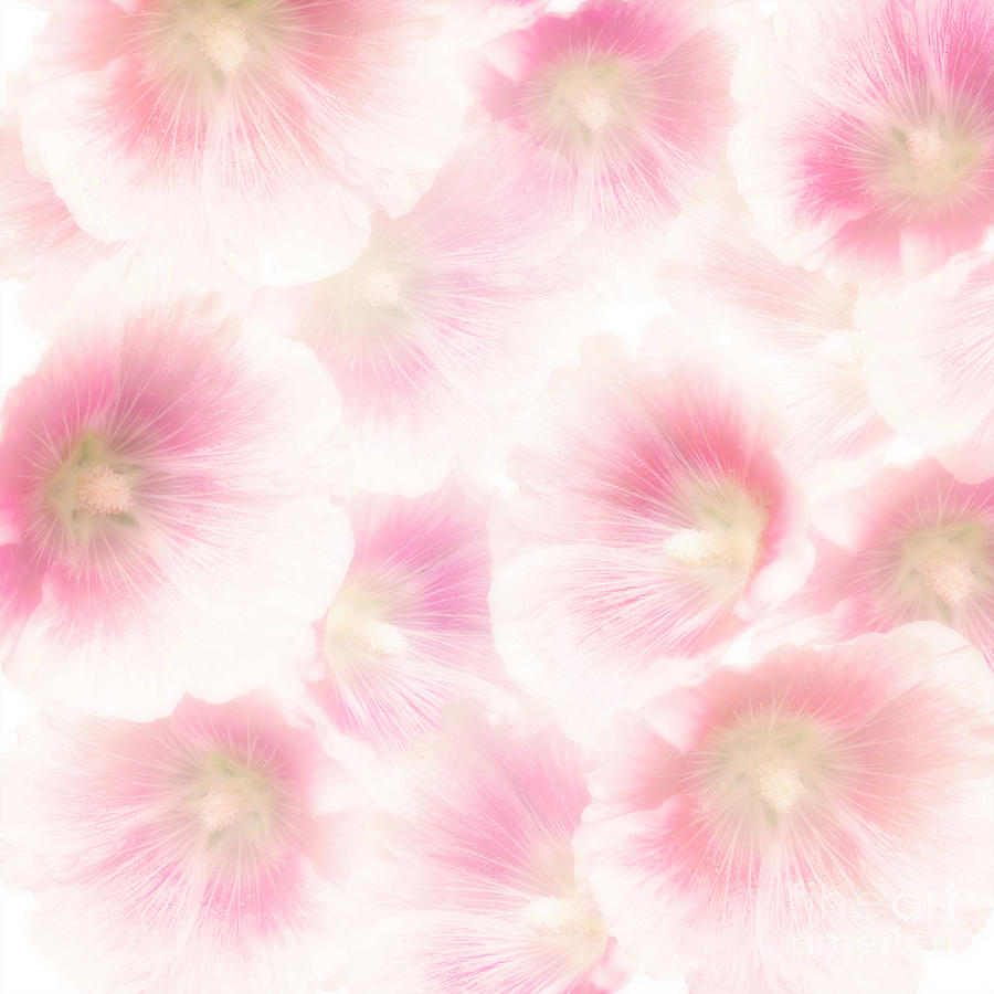 Pink Hollyhock Flowers Photograph by Svetlana Foote | Fine Art America