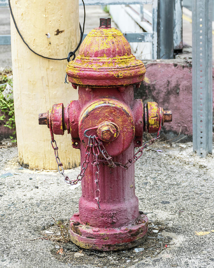 Fire Hydrant fireplug Photograph by Ivan Santiago