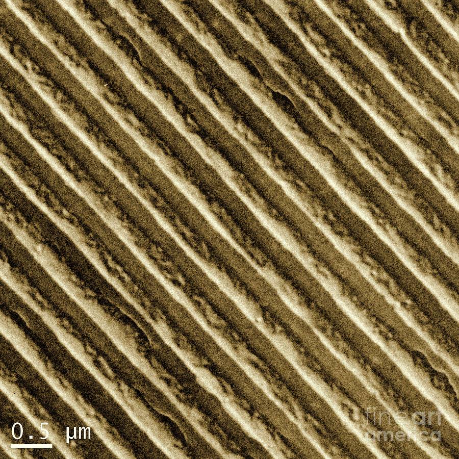 Diffraction Grating Photograph by Scimat - Pixels