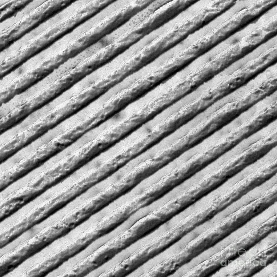 Diffraction Grating Tem Photograph by Scimat - Fine Art America