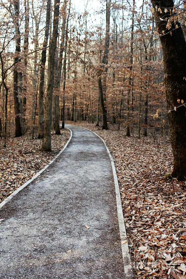 A Smooth Path Photograph by Sandra Davis - Fine Art America