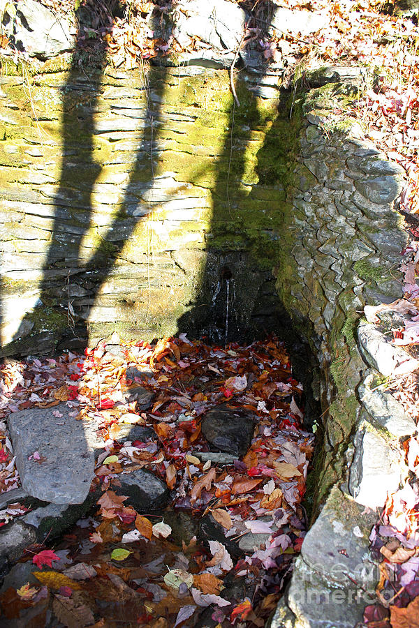 A Spring In Fall Photograph by Dani Marie | Fine Art America