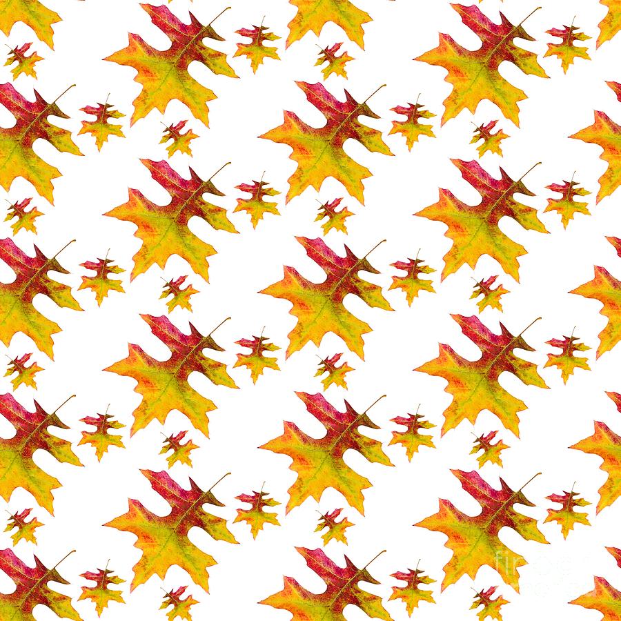 A tiled pattern that repeats seamlessly and features a Pin Oak leaf in ...