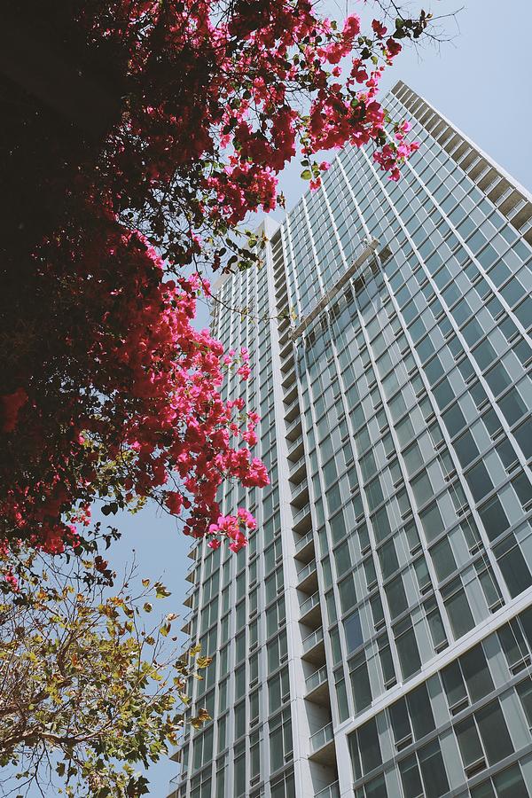 A view in a perspective Photograph by Sofia Pace - Fine Art America