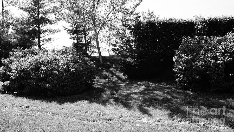 A world without color 4 Photograph by Joshua Tillery - Fine Art America