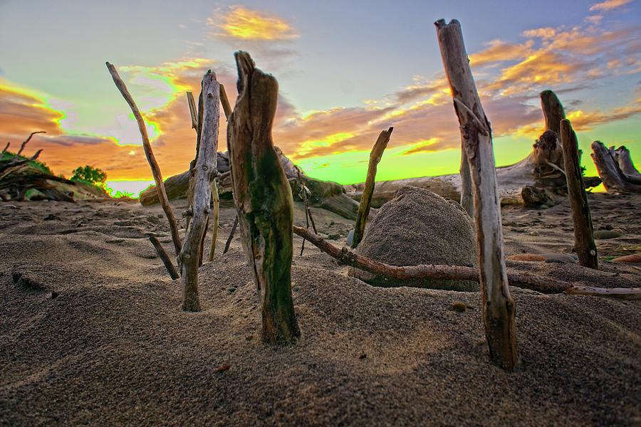 Alien Surface Photograph by LuAnn Griffin - Fine Art America