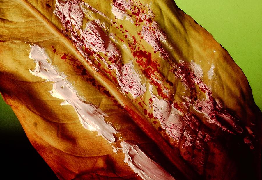 Alignment Painting by John Gerstner