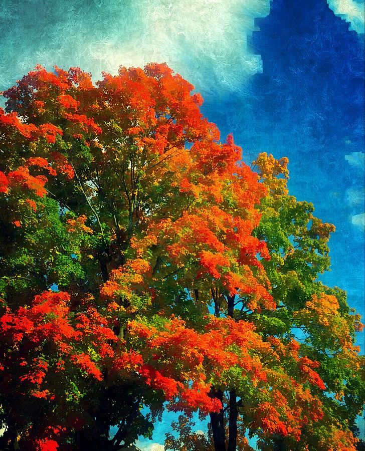 All about Autumn Photograph by Alison Stittsworth-hall - Fine Art America