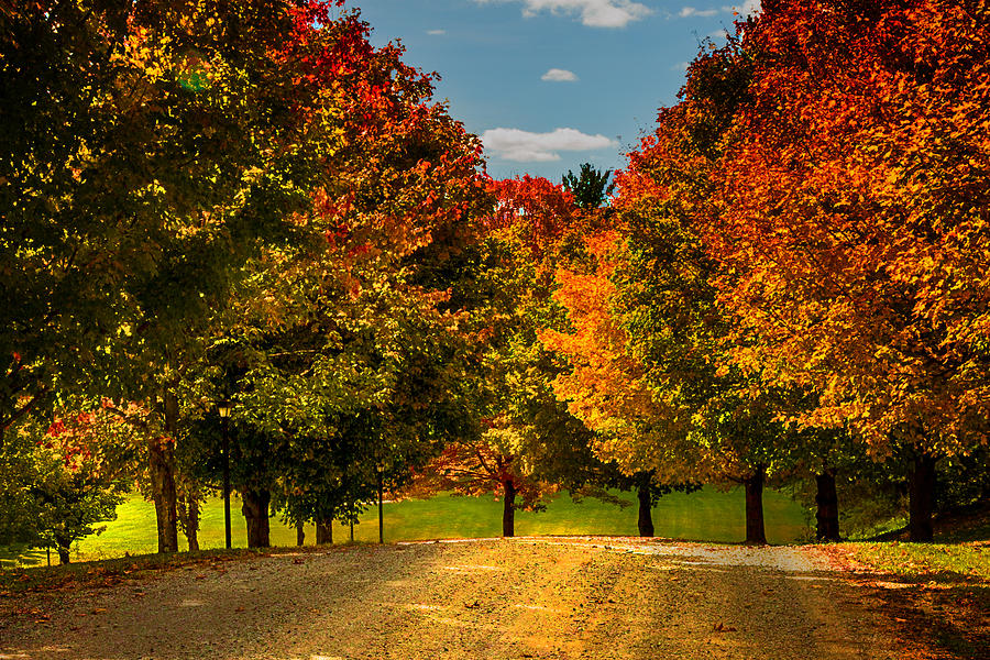All Fall Photograph by Janet Ballard - Fine Art America