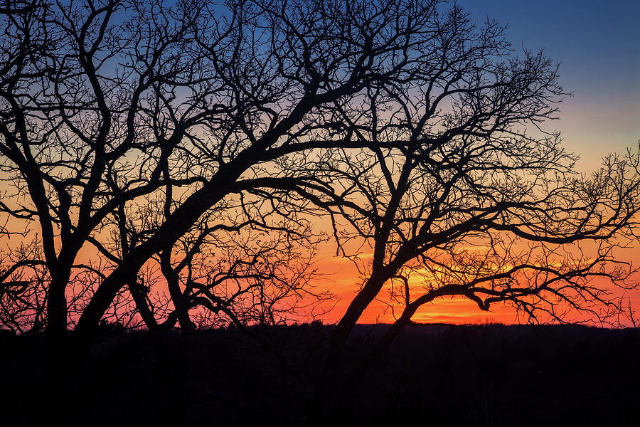 Almost Spring Photograph by Shawn Einerson - Fine Art America