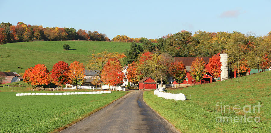 Amish Barn and Fall Color 5826 Photograph by Jack Schultz