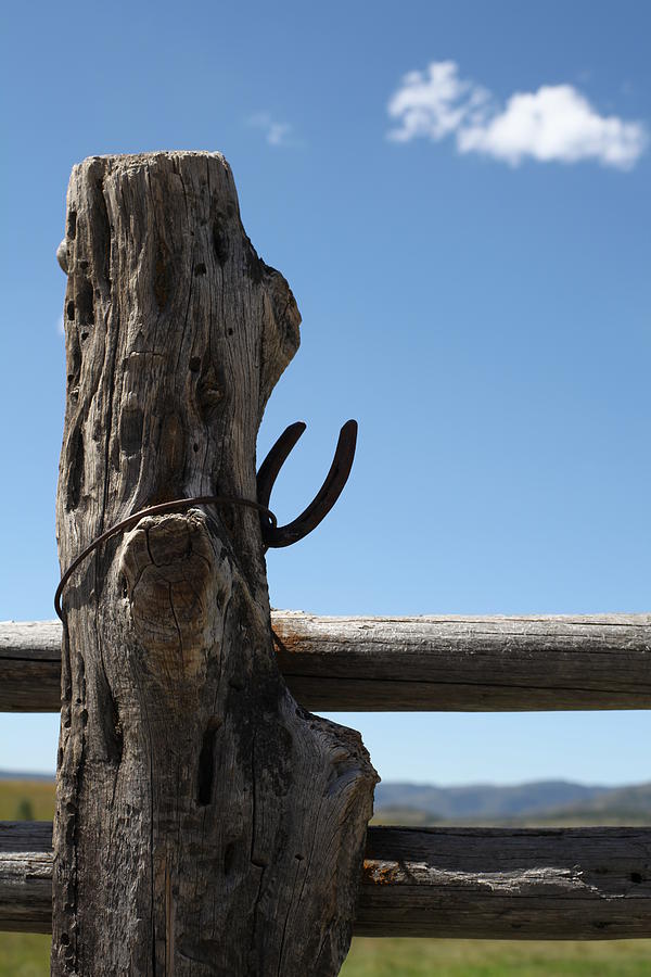 Ancient Fence Photograph by Anthony Haight - Fine Art America