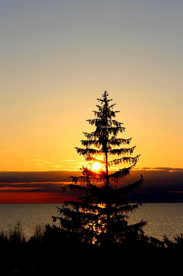 April Reflection 2 Photograph by John Scatcherd - Fine Art America