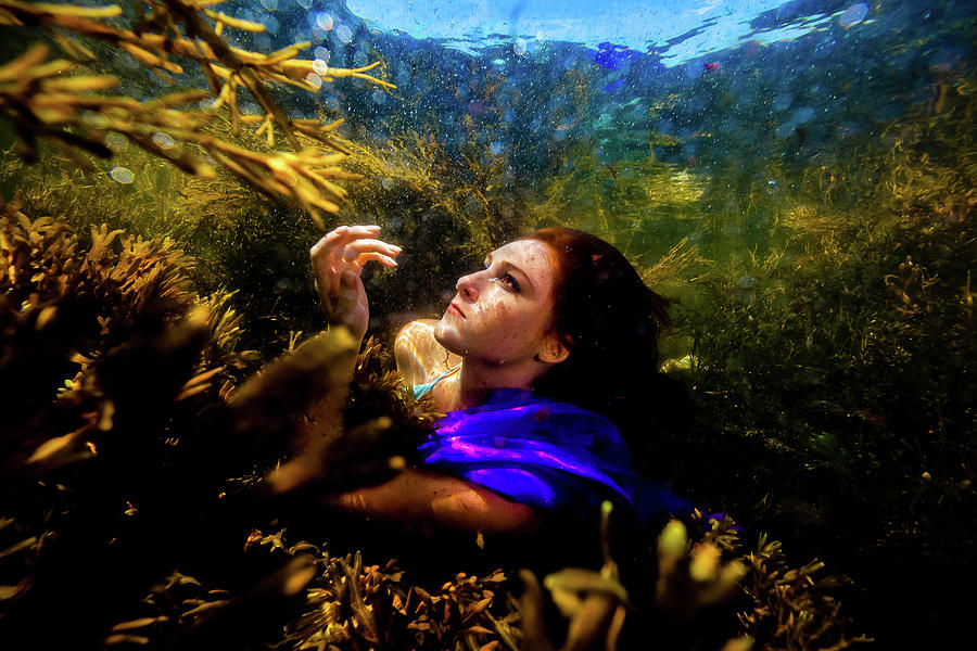 Atlantic Mermaid Photograph by Jorge E Gonzalez | Fine Art America