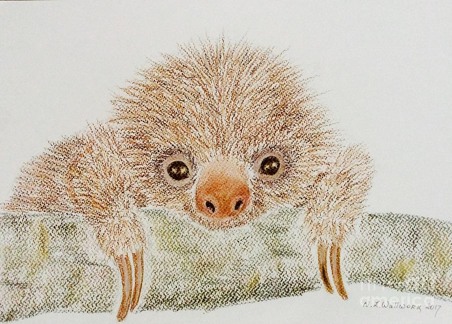 Baby Sloth Pastel by Natalia Wallwork - Pixels