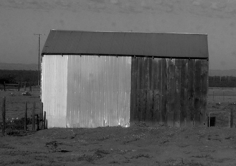 Balance 2 Photograph by Austin Morelli - Fine Art America