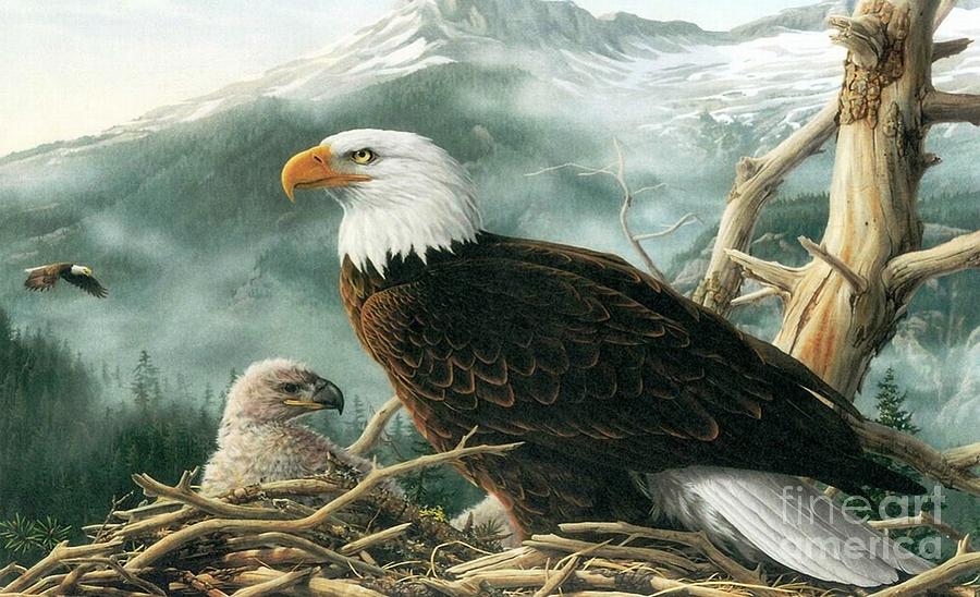 Bald Eagle And Eaglet Painting by Pg Reproductions