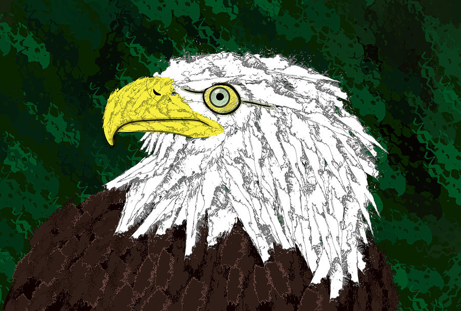 Bald Eagle Digital Art by Jay Read - Fine Art America