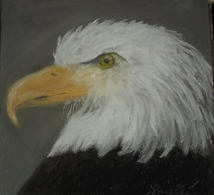 Bald Eagle Pastel by Lorelei Hoff - Fine Art America
