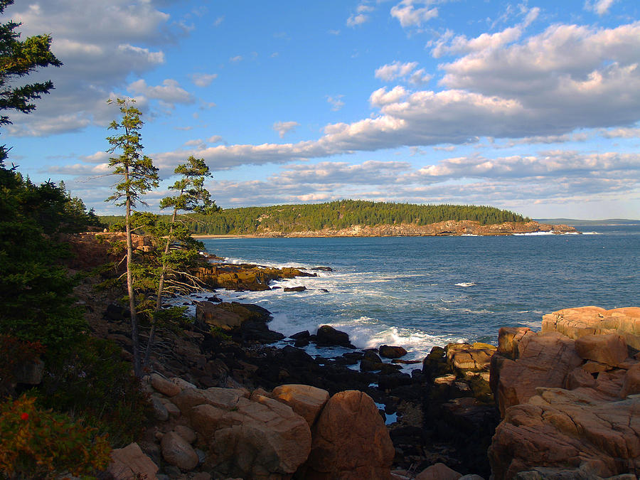Bar Harbor Coast Photograph by George Martin - Fine Art America
