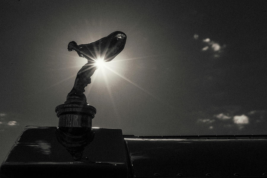 Basking in the Sun Photograph by Duschan Tomic | Pixels