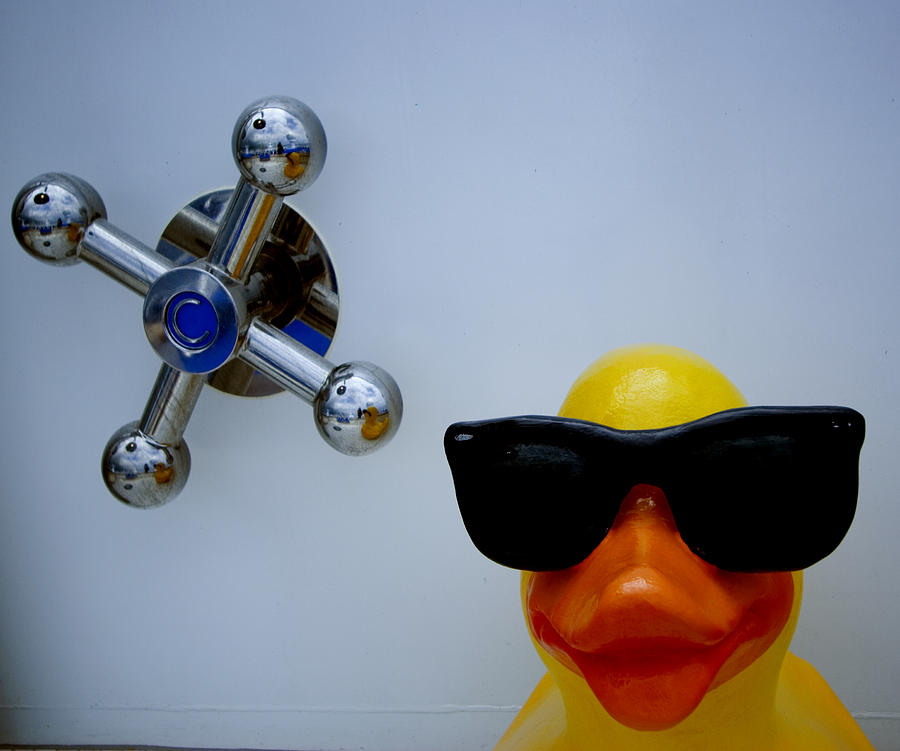 Bath Time Photograph by JT Alexander - Fine Art America