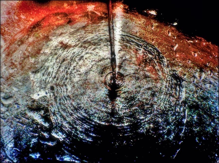 Be That Way Photograph by Earl Telfair - Fine Art America