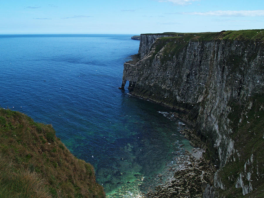 Bempton Cliffs Photograph by Steve Watson - Fine Art America