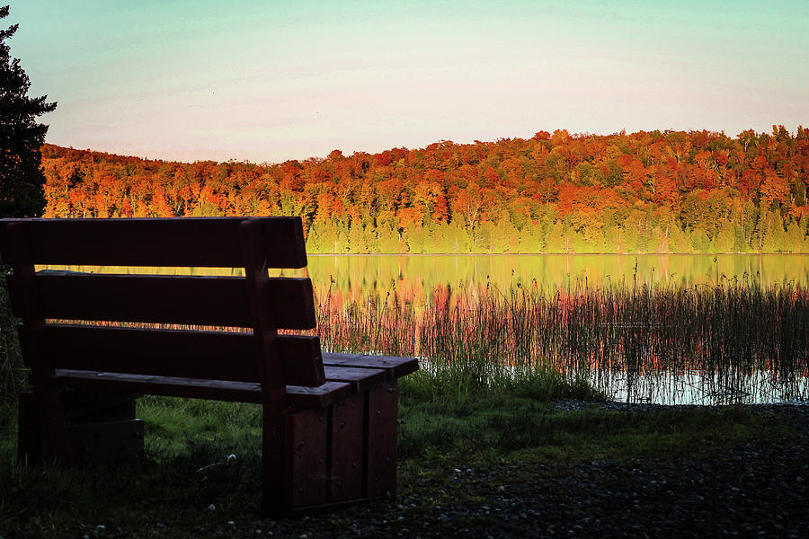Bench with a view Photograph by Holger Richter - Pixels