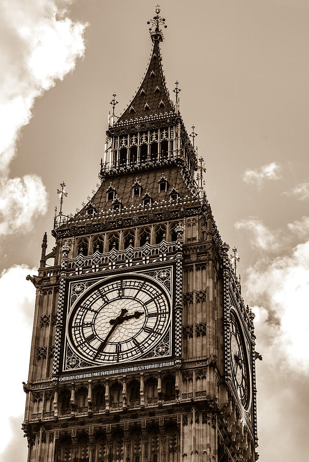 Big Ben Brown 52015 Photograph by Carol Brunner - Fine Art America
