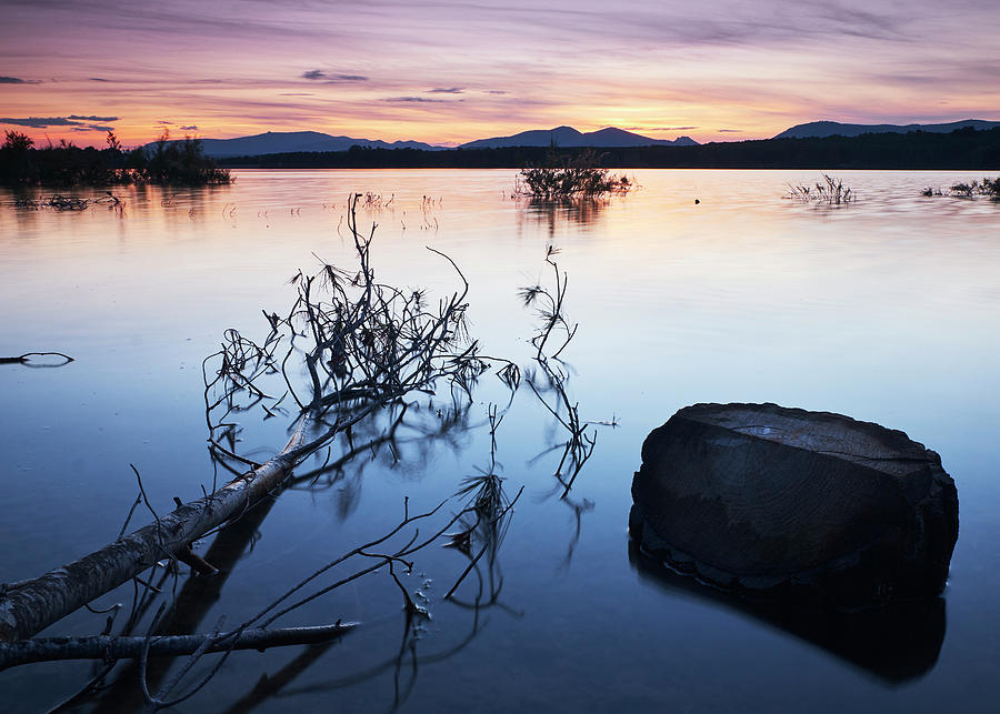 Blue sunset. Tree life. Photograph by Guido Montanes Castillo - Fine ...