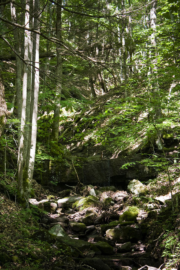 Bluestone State Park Mountain Stream West Virginia Photograph by Teresa ...