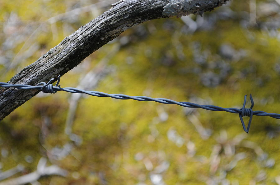 Bob Ware 10 Photograph by Ryan Vaal - Fine Art America