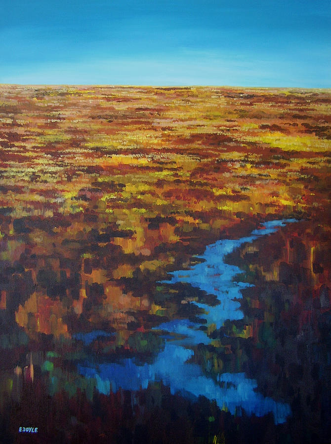 Bog Pool Painting by Eamon Doyle - Fine Art America