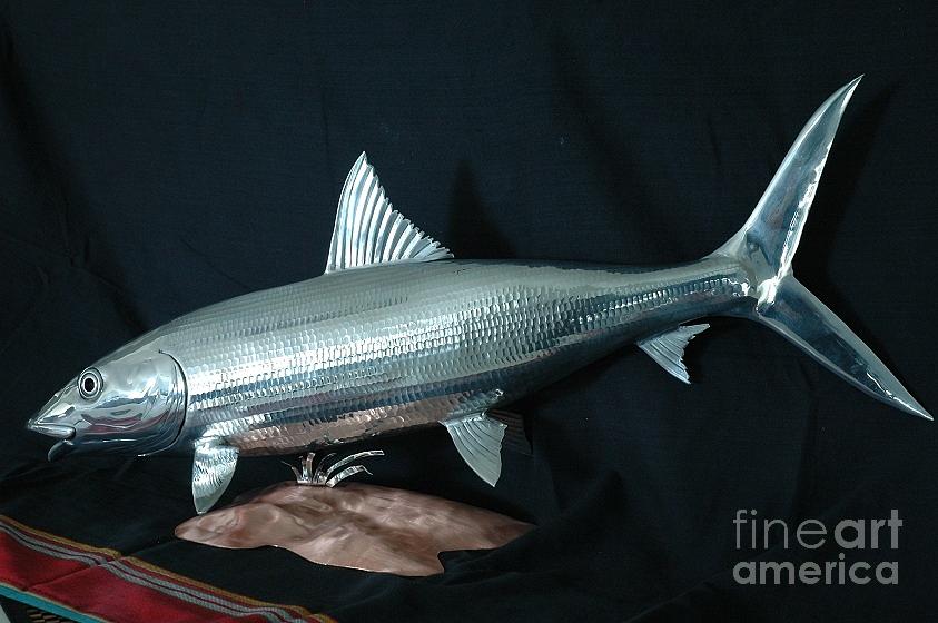Bonefish Sculpture by Nic Jooste - Fine Art America